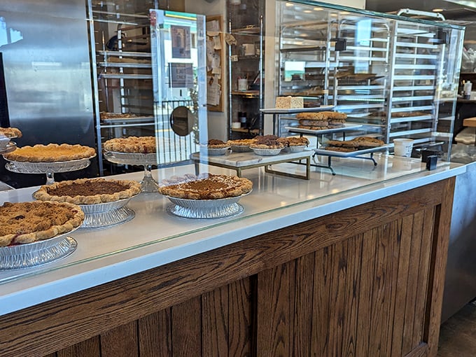 Pie lineup that would make a pastry detective's investigation deliciously complicated. "Round up the usual suspects" never looked so appetizing.