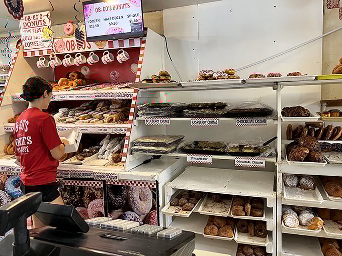 Donut taxonomy at its finest. Each variety perfectly arranged like delicious museum exhibits, labeled with the care of precious artifacts.