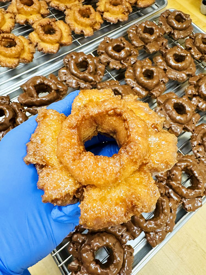 Donut artistry in its purest form&mdash;the golden-fried perfection of old-fashioned donuts awaiting their moment of glory.
