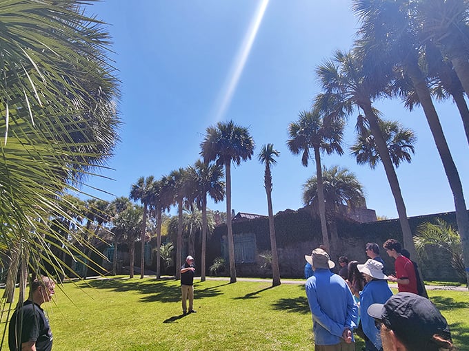 Guided tours offer insights into Atalaya's history, with knowledgeable guides bringing the empty rooms to life with fascinating stories.