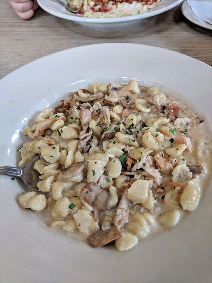 Sp&auml;tzle swimming in creamy sauce with mushrooms&mdash;like little pillows of joy that comfort your soul one forkful at a time.