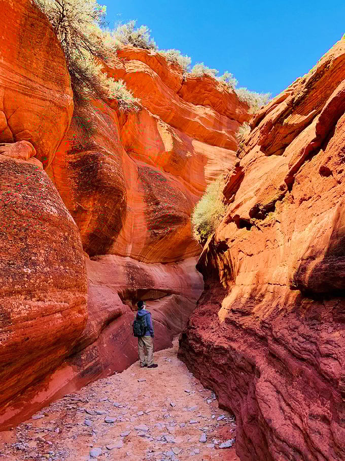 Dwarfed by nature's architecture, this hiker reminds us of our perfect insignificance in the grand canyon scheme of things.