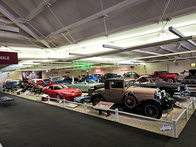 Decades of automotive evolution unfold before your eyes, from wooden-spoke wheels to space-age tail fins, each car telling America's story through chrome and steel.