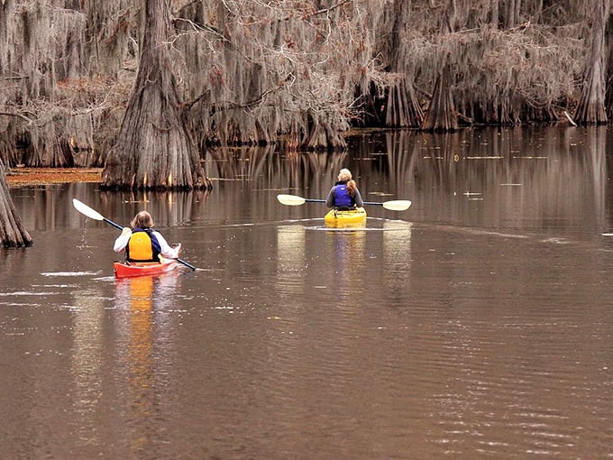 Kayaking through Caddo Lake's cypress forest feels like paddling through a primeval soup where dinosaurs wouldn't seem entirely out of place.