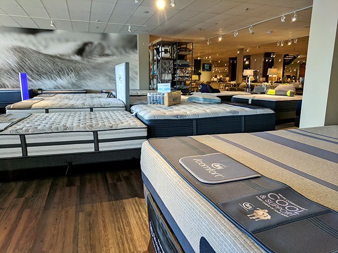 The mattress showroom&mdash;where adults perform the awkward public ritual of pretending to sleep while fully clothed and completely self-conscious.