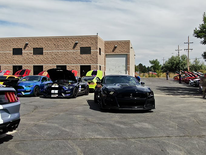 Special events transform the parking lot into an impromptu car show, where modern Mustangs pay homage to their ancestors.