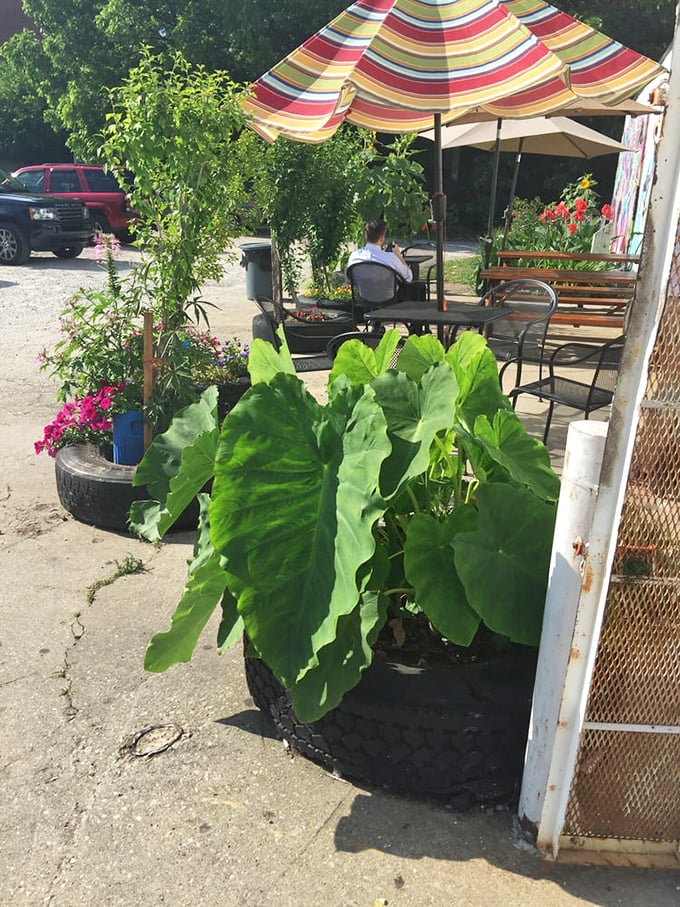 The outdoor garden oasis makes waiting for your order feel like a mini-vacation. Those elephant ear plants aren't just decoration&mdash;they're nature's way of blessing this spot.
