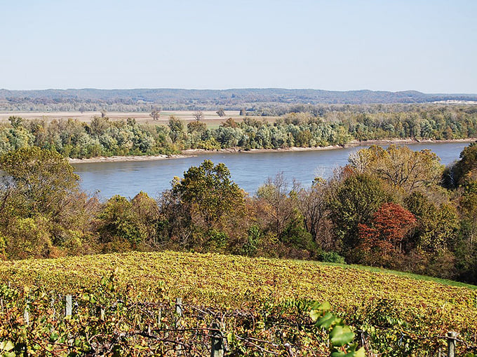 The Missouri River valley unfolds like nature's answer to the question "What if we combined vineyards with Mark Twain's playground?"