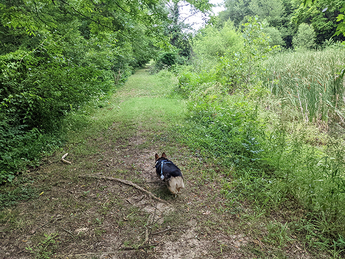 Pet-friendly trails mean your four-legged financial advisor (who works for treats) can enjoy the affordable lifestyle right alongside you.