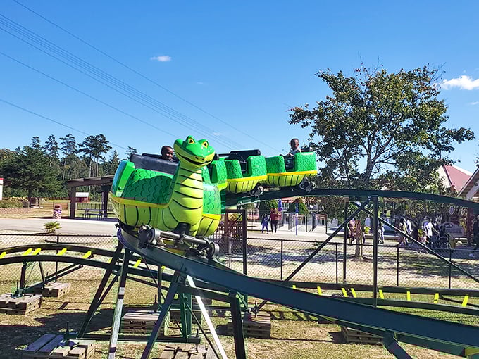 All aboard the Sea Serpent! This smiling green dragon coaster introduces young thrill-seekers to the joy of controlled terror with gentler dips and turns.