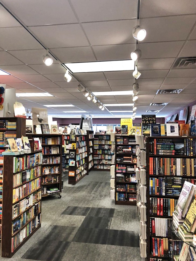 Aisles designed for serendipity. Turn a corner expecting cookbooks, discover the travel memoir that changes your summer plans entirely.