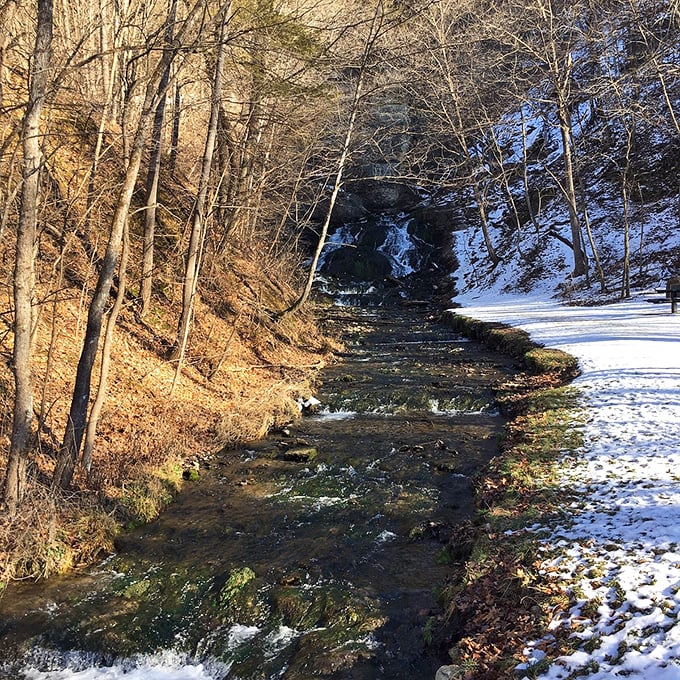 Winter's first dusting transforms this stream into a scene so tranquil you can almost hear the snowflakes whispering secrets to the water.