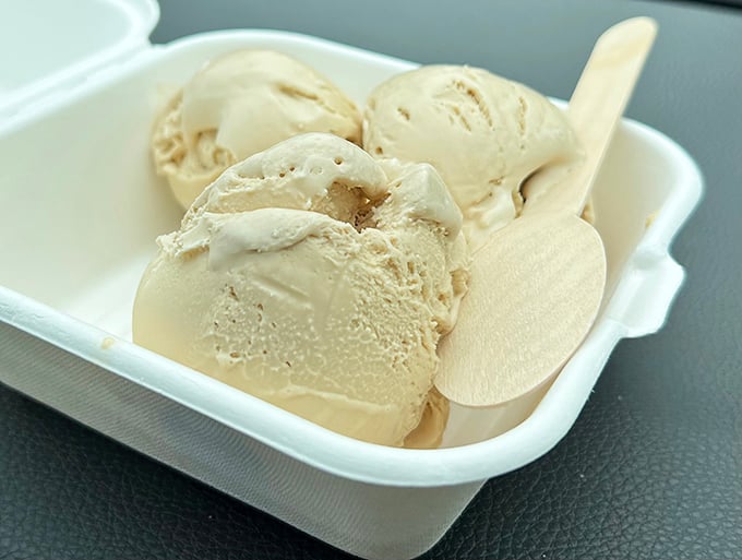 Vanilla ice cream so creamy it makes you question why you ever bothered with fancy flavors in the first place.