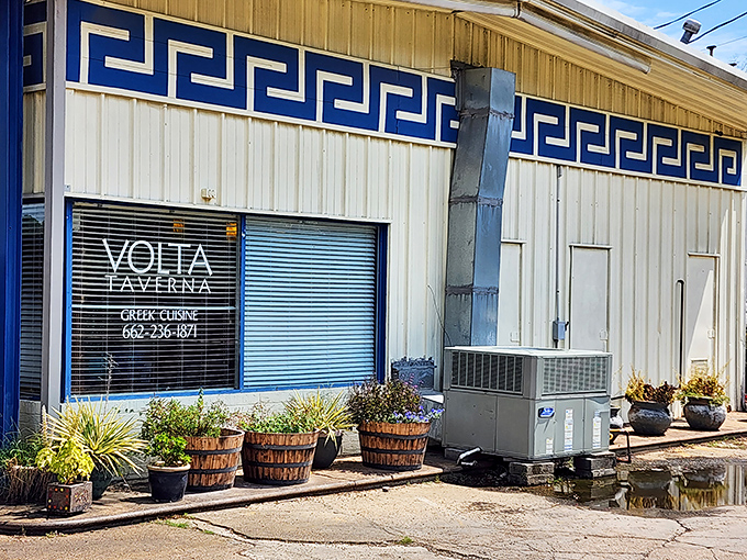 Volta Taverna's unassuming exterior hides Greek cuisine that would make Zeus himself descend from Olympus for a plate of gyros.