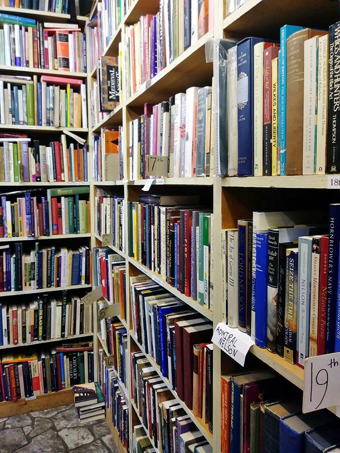 Books stacked with military precision, their spines creating a colorful mosaic that's more tempting than any dessert menu I've ever encountered.