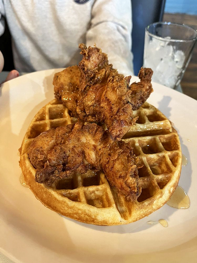The chicken and waffle summit has reached a delicious accord: crispy meets fluffy in perfect harmony.