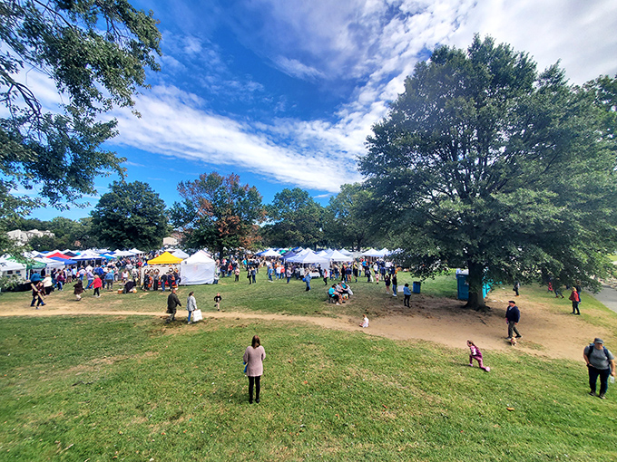 Community festivals transform Battery Park into a vibrant marketplace. These gatherings have more authentic charm than any "ye olde" tourist trap ever could.