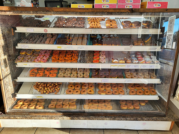Donut heaven, displayed in all its glory. This case holds more happiness per square inch than most amusement parks.