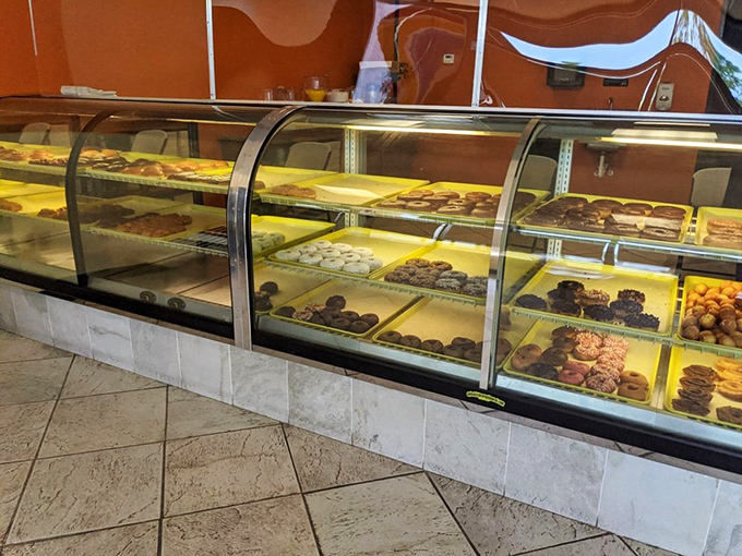 The display case&mdash;a treasure chest where pirates would willingly trade their gold for what lies behind this glass if only they knew.