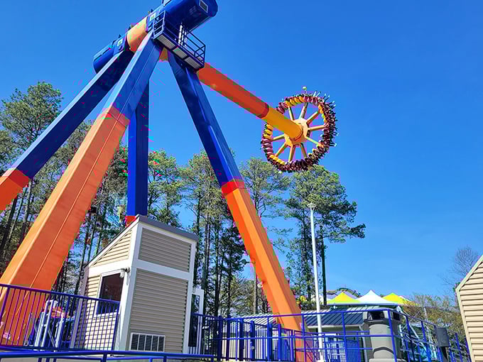 This colorful pendulum ride swings visitors through increasingly wider arcs, turning "I can't look!" into "I can't look away!"
