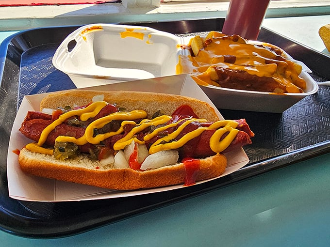 Hot dog artistry that would make the vendors outside Wrigley Field nod in respect. The zigzag of mustard isn't decoration &ndash; it's tradition on a bun.