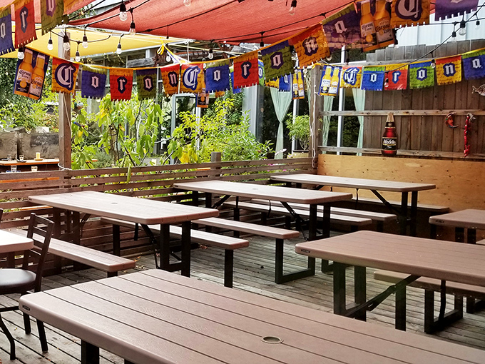 Another enchilada masterpiece with the perfect rice-to-beans ratio. That side of pico de gallo adds freshness that should be bottled.