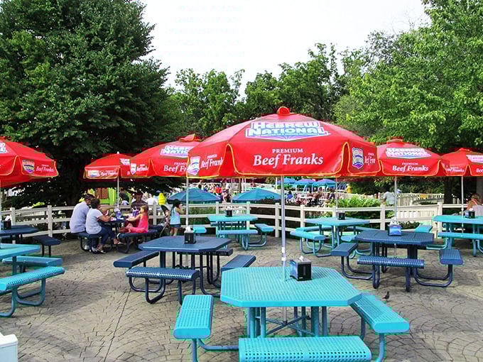 Picnic tables under cheerful umbrellas – the Switzerland of amusement parks where families negotiate peace treaties over hot dogs and ice cream.