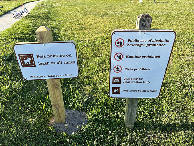 The rules of paradise: leash your dog, leave the booze at home, and remember that camping reservations aren't just a suggestion.