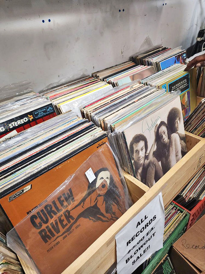 Vinyl treasures await the discerning collector. That Curlew River album might be worth something&mdash;or might just be the perfect conversation starter at your next dinner party.