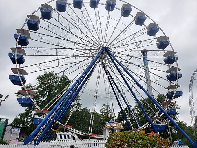 The Americana Ferris wheel offers a gentle reprieve for thrill-seekers needing to recalibrate their inner ear&mdash;and courage.