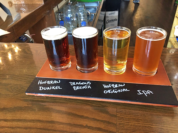 Four glasses of liquid poetry. This flight isn't heading to Germany, but your taste buds certainly are. The Hofbräu Dunkel looks particularly convincing.