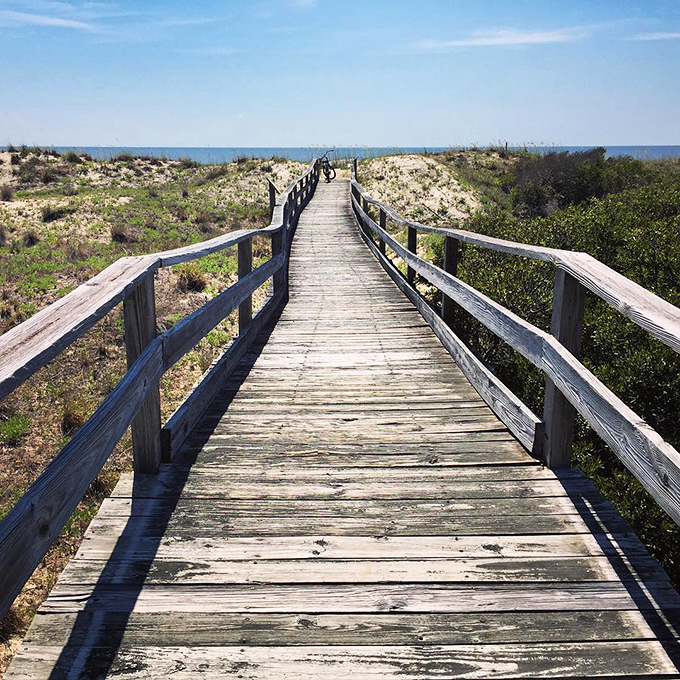 The wooden path less traveled. This weathered boardwalk leads adventurers through maritime forest and over dunes to the Atlantic's edge.