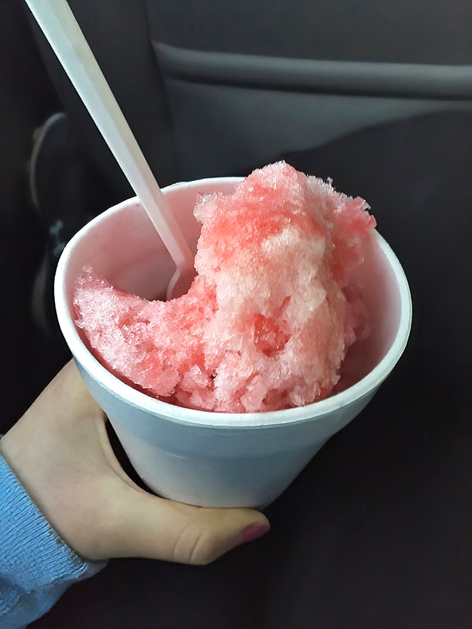 Snow Bizz in a cup&mdash;like catching a pink cloud that somehow tastes exactly like your childhood summer dreams.