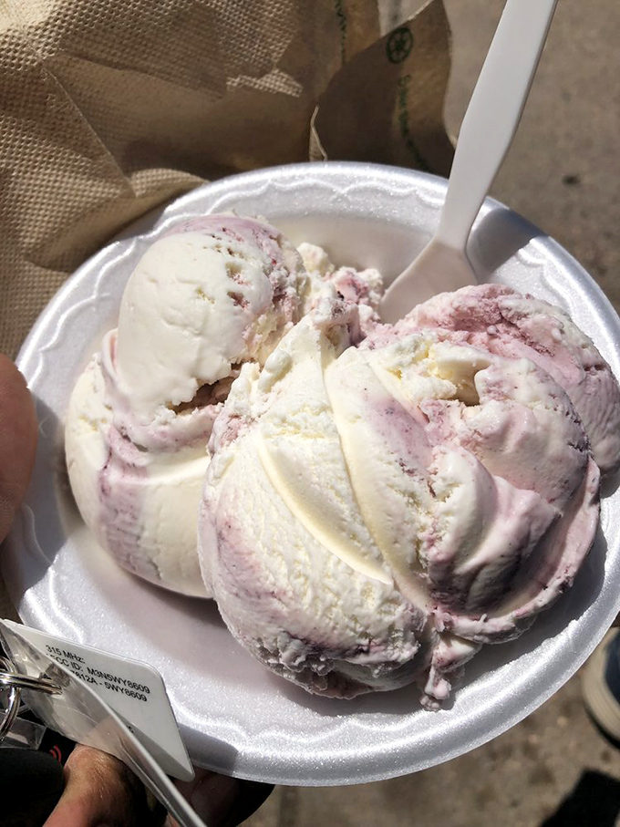 Blueberry cheesecake ice cream that's marbled to perfection&mdash;like the dessert equivalent of finding a twenty in your winter coat pocket.
