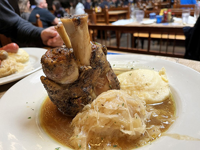 This pork shank stands proudly like a meaty monument to German cooking techniques, practically begging you to grab that bone.