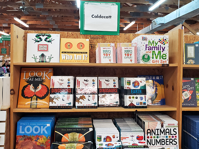 Caldecott winners lined up like literary celebrities on the red carpet. These award-winning illustrations have launched thousands of bedtime story memories.