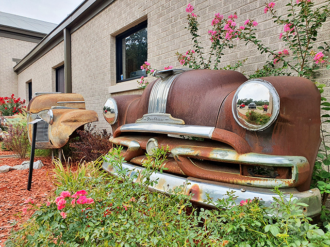 These partial car fronts in the garden aren't casualties&mdash;they're clever landscape art proving that even in retirement, classic cars never lose their charm.