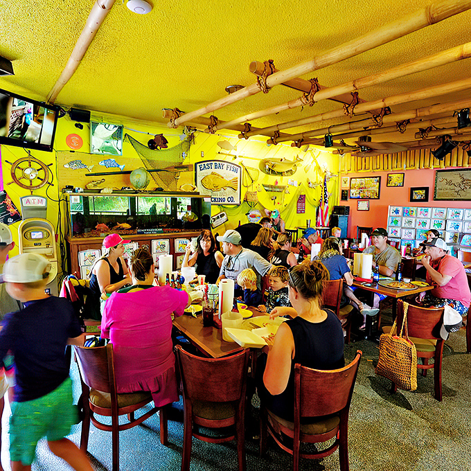 The dining room buzzes with the energy of people who've discovered a secret they're simultaneously eager to share and keep to themselves.