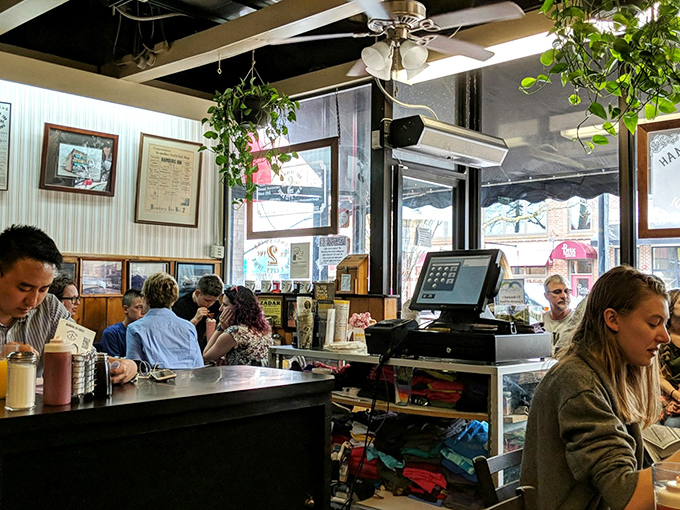 The dining room where strangers become friends over coffee refills and shared appreciation for hash browns that deserve their own Nobel Prize.