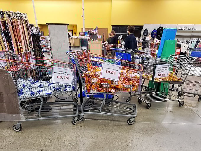 Shopping carts decorated with clearance signs&mdash;like Christmas trees trimmed with discount ornaments that sparkle with savings.