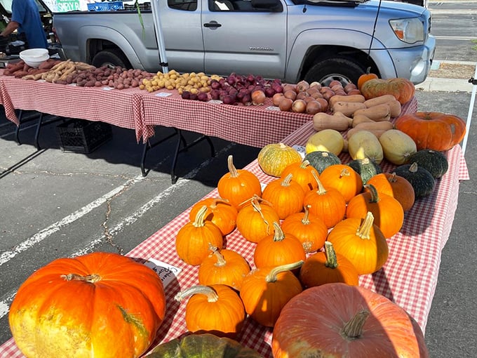 Farm-fresh meets desert heat at Palm Springs markets. Those pumpkins didn't grow in the sand&mdash;they're imported treasures like many Palm Springs residents!