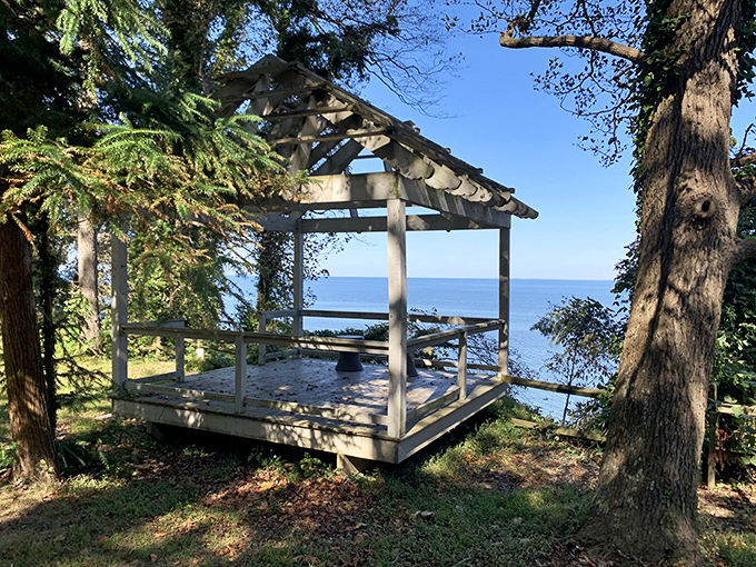 Shakespeare would call this gazebo "a stage where every sunset becomes poetry." I call it the perfect spot for evening wine.