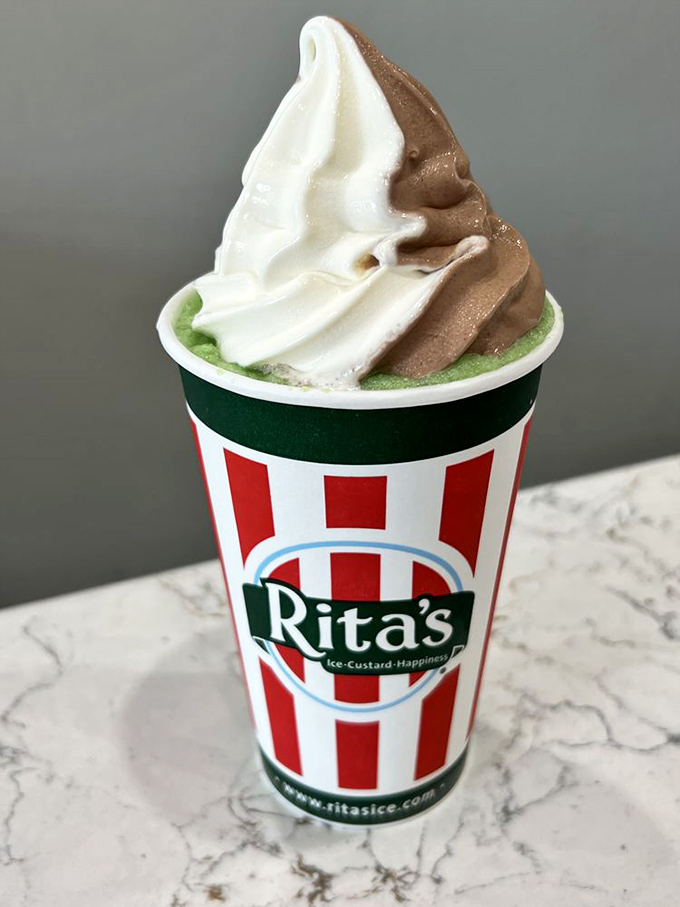 Three distinct layers in perfect harmony. This isn't just dessert; it's a flavor symphony conducted by a frozen maestro.