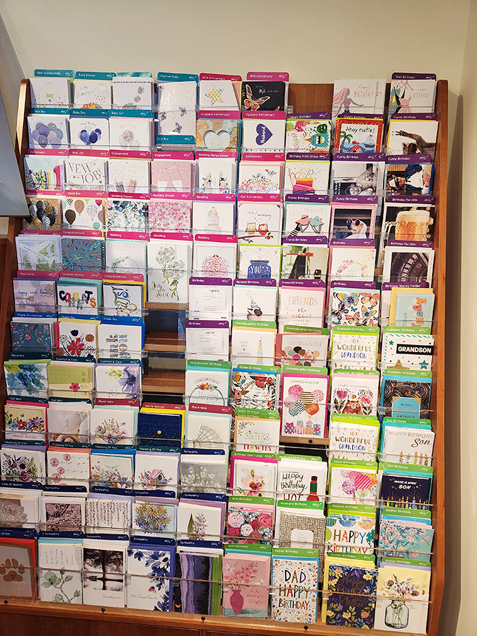 An author event transforms shelves into a stage, where stories come alive through the voice that first imagined them. 