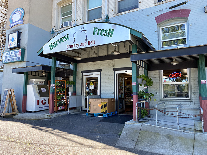 Harvest Fresh isn't just a grocery&mdash;it's a community hub where the cashiers remember your name and the produce remembers its roots.