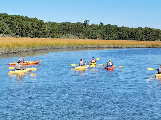 Beyond the castle walls, Huntington Beach State Park offers kayaking adventures through pristine marshlands teeming with coastal wildlife.