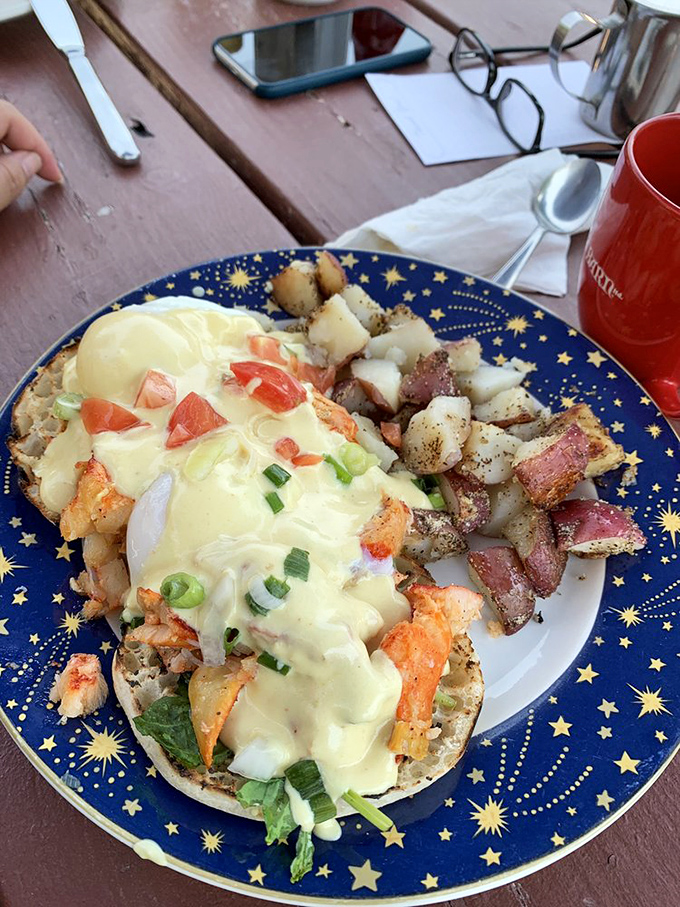 Lobster eggs Benedict on a starry blue plate – because sometimes Tuesday morning deserves a weekend-worthy celebration. Those potatoes are perfectly seasoned supporting actors.