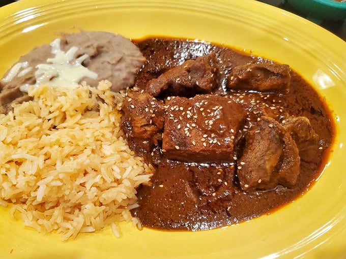 Mole sauce so complex it probably has its own tax accountant, glistening over meat that surrendered completely to low, slow cooking.