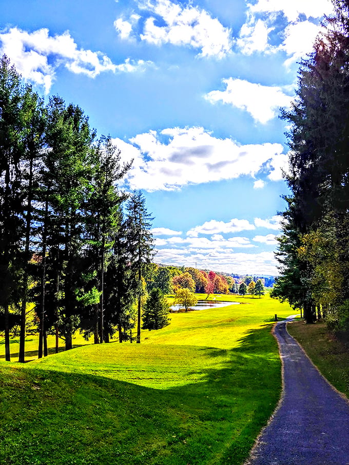 Rolling hills and majestic pines create postcard-worthy vistas that make smartphone cameras work overtime and Instagram filters unnecessary.