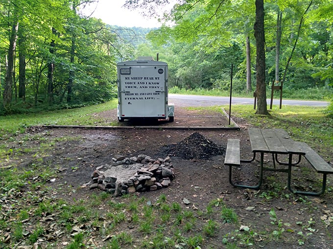 Simple pleasures: a picnic table, fire ring, and the promise of s'mores under a canopy of trees beats five-star accommodations any day.